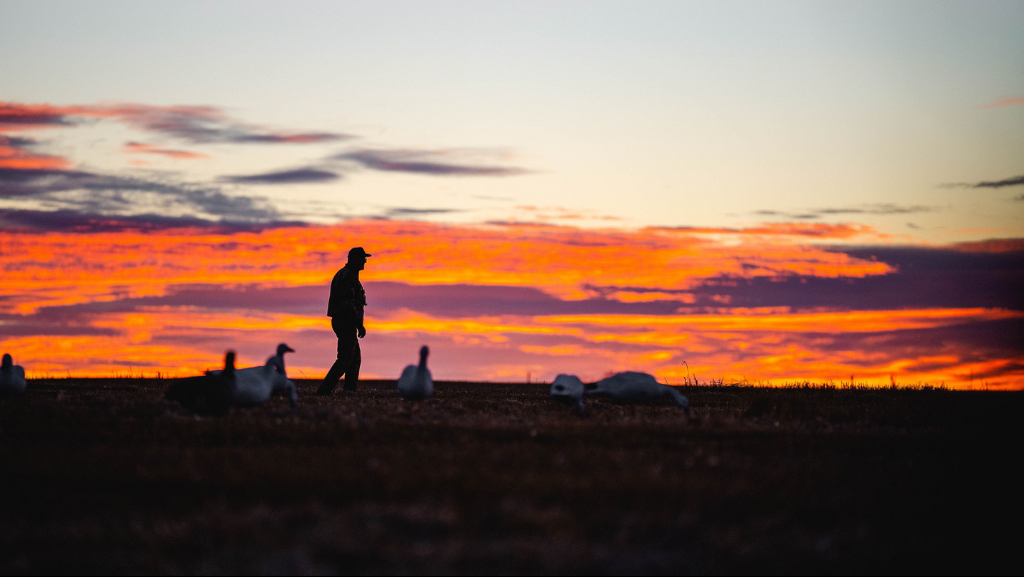 Morning Bust, Evening Glory | Slayer Calls