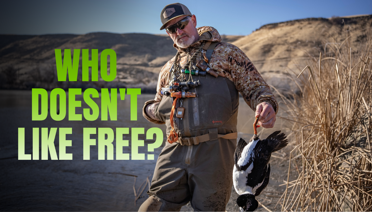 Beyond the quack: Learn the different duck sounds of common species ...